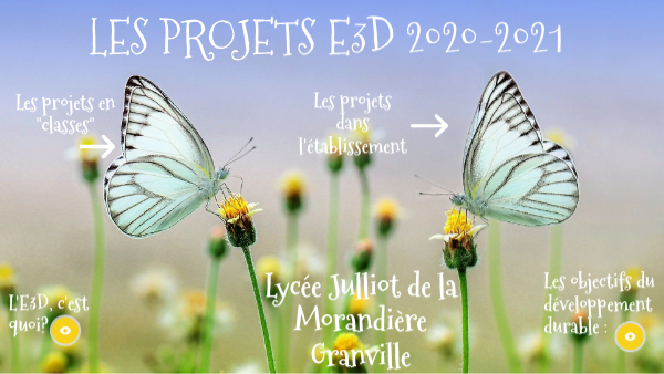 Projets E3D 2020-2021 | Genially