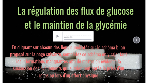 La régulation de la glycémie (terminales spécialité)