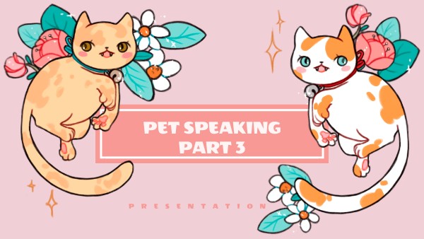 PET Speaking part 3 | Genially