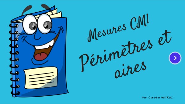 Mesures : périmètre et aire
