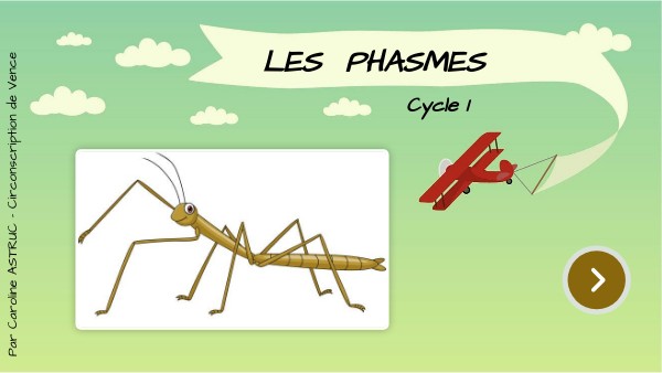 LES PHASMES - Cycle 1 | Genially