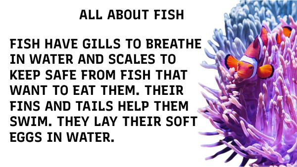 DICTATION: ALL ABOUT FISH | Genially