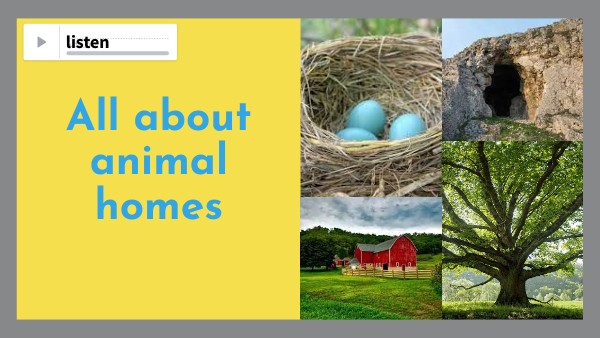 Animal homes | Genially