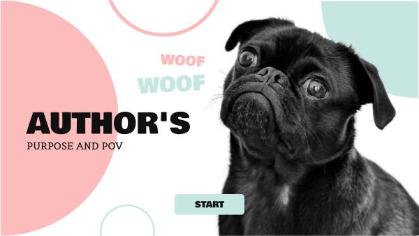 Author's purpose and POV