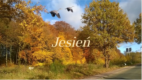 Jesień
