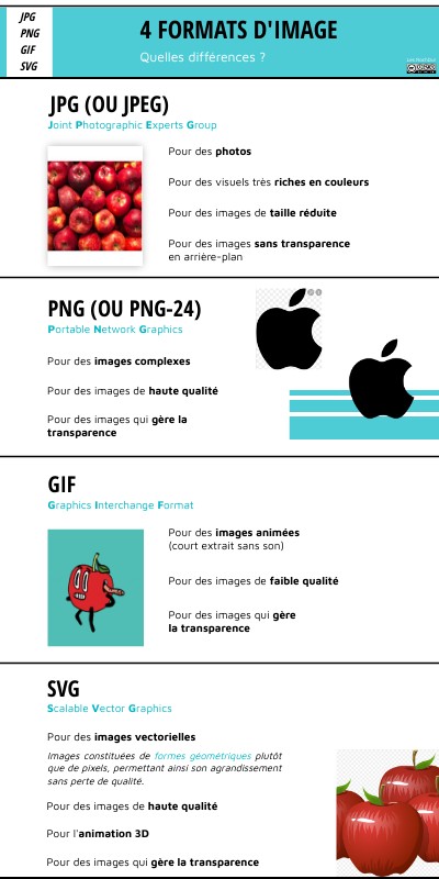 Quelles différences JPG, PNG, GIF et SVG ? | Genially
