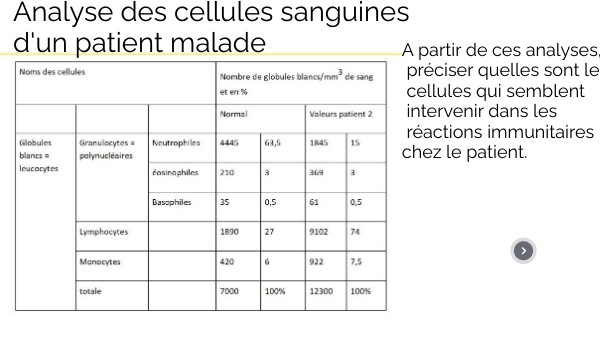 suite anticorps | Genially
