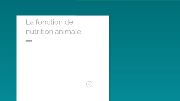 La fonction de nutrition | Genially