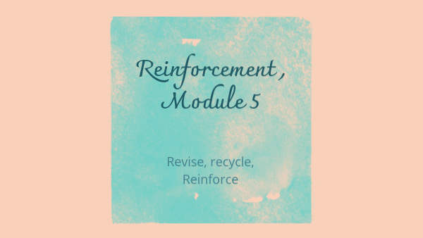 Reinforcement Module 5