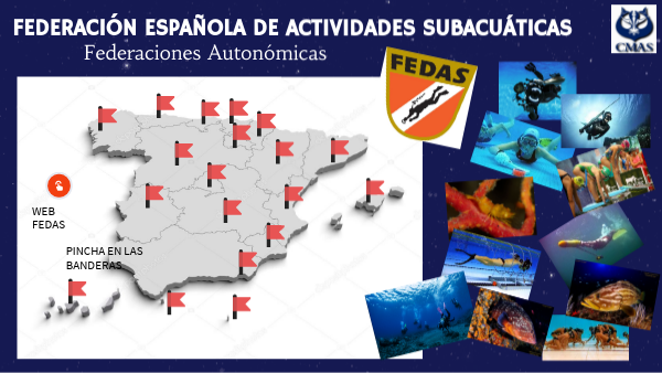 FEDERACIONES AUTONÓMICAS - FEDAS