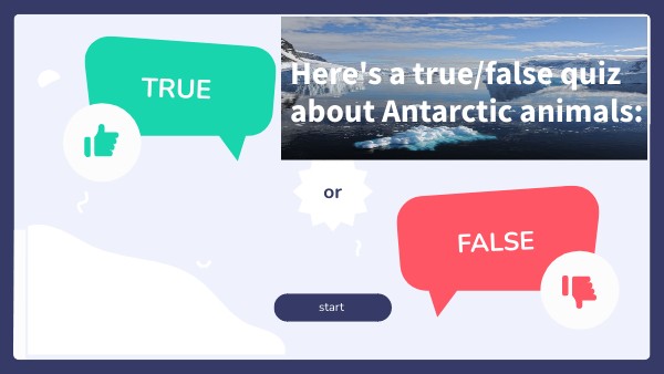 TRUE OR FALSE | Genially