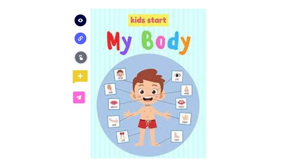 Natural Science 1. Unit 2. My body - English 1. Unit 5. My body | Genially