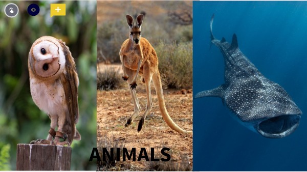 English 1. Unit 4. Animals abilities