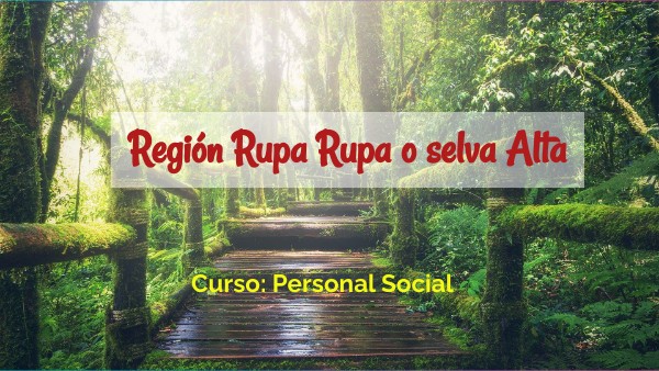 Copy - Selva alta 6to prim