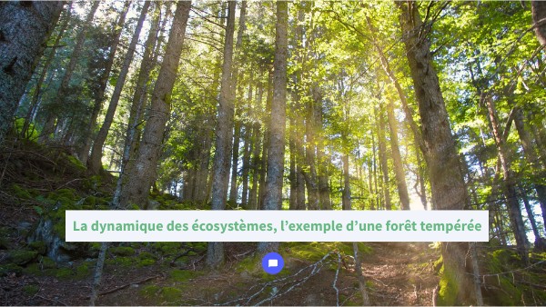 La dynamique des écosystèmes, l’exemple d’une forêt tempérée