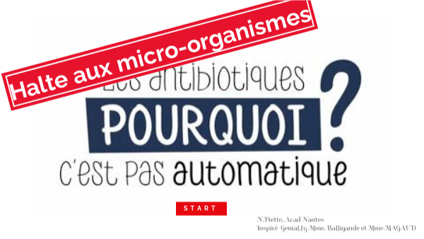 Les antibiotiques | Genially