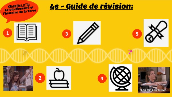 Copie - Copie - 4e - Guide de révision : Chapitre n°3 : La biodiversit