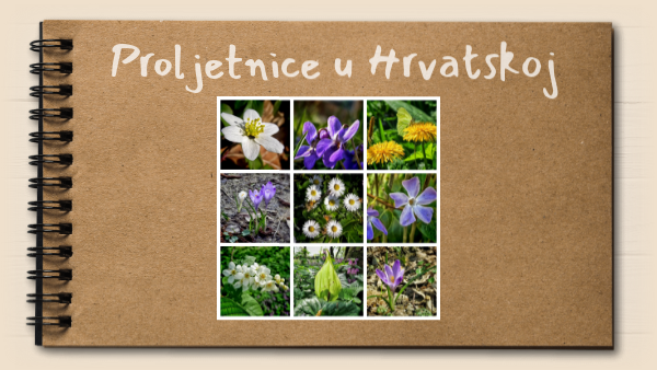 Proljetnice u Hrvatskoj | Genially