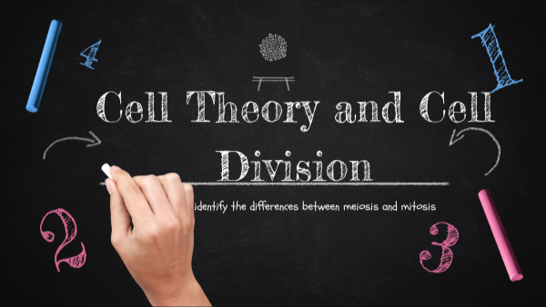 Cell Division | Genially