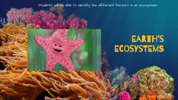 Earth's Ecosystems