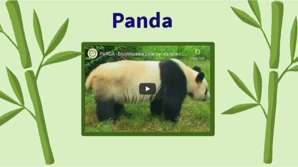 panda | Genially