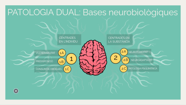 Patologia Dual: Bases neurobiològiques | Genially