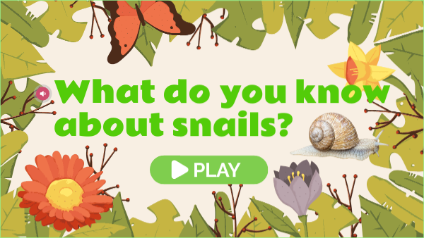 Snails facts | Genially