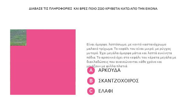 ΒΡΕΣ ΠΟΙΟ ΖΩΟ ΕΙΝΑΙ