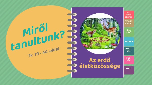 Az erdő életközössége - Miről tanultunk? | Genially
