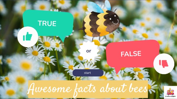 TRUE OR FALSE - BEES quiz | Genially