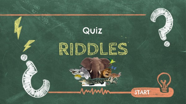 QUIZ riddles