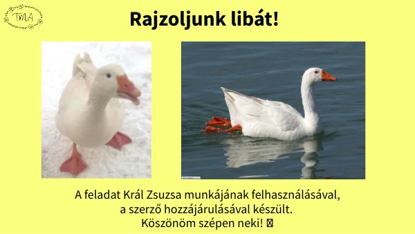 Rajzoljunk libát! (TMA)