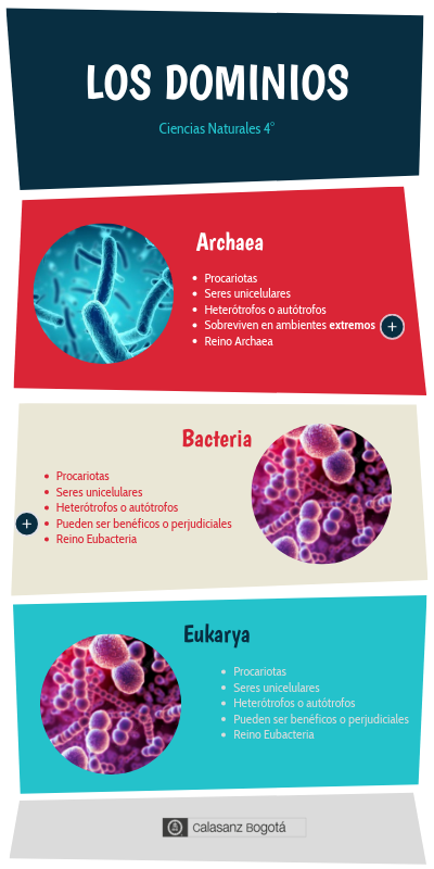 Los dominios | Genially