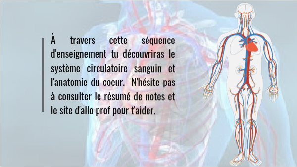 Séquence d'enseignement sur le système circulatoire sanguin | Genially