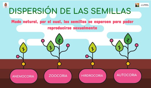 Dispersión de la semillas | Genially
