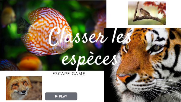 Classer les espèces | Genially