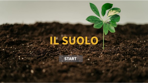 IL SUOLO