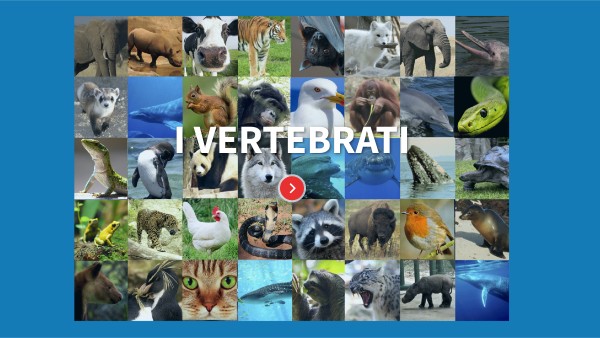 i vertebrati