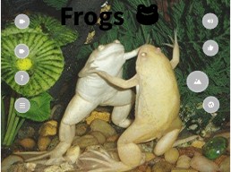 Frogs | Genially