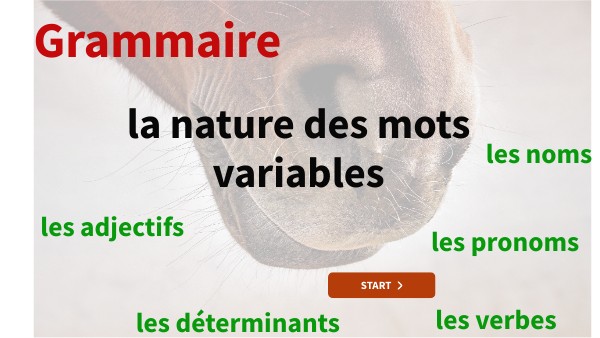 La nature des mots (1) | Genially