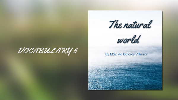 VOCABULARY 6: THE NATURE WORLD ( ENGLISH 3)