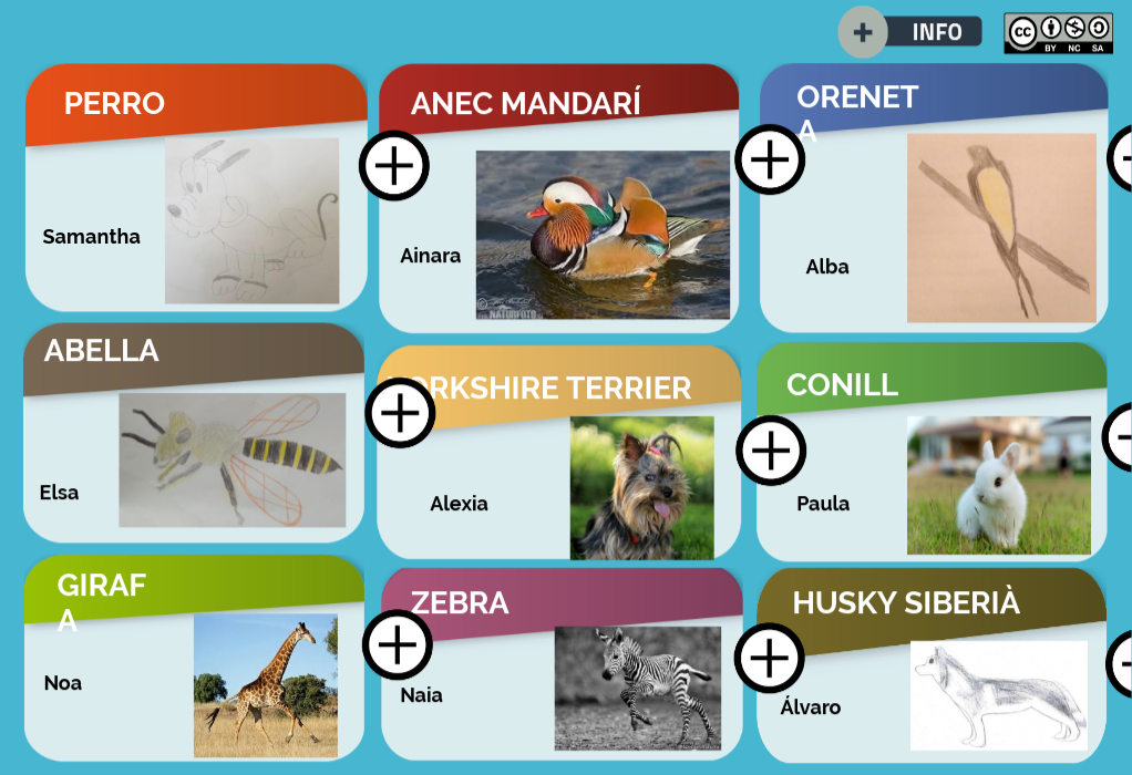 ANIMALS 1 | Genially