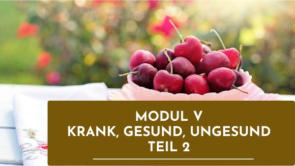 6 Modul V Teil 2 | Genially