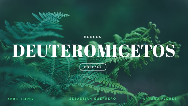 PRESENTACIÓN BIO HONGOS