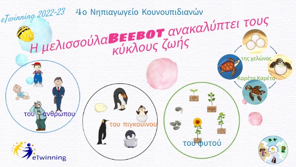 Beebot discovers the life cycles | Genially