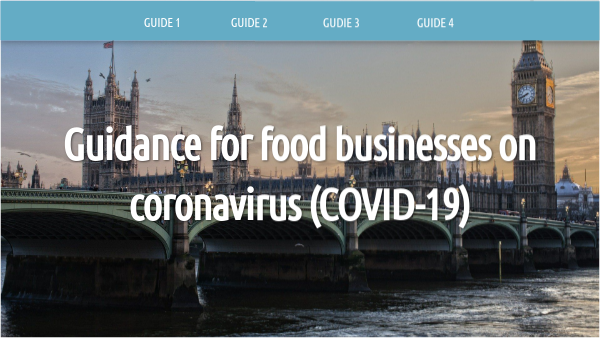 Business Guidelines | Genially