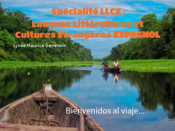 Présentation détails LLCE | Genially