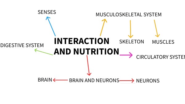 PLAN DE TRABAJO EXTRA SCIENCE