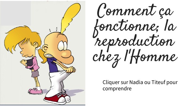 Reproduction humaine | Genially