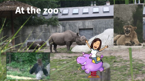 at the zoo